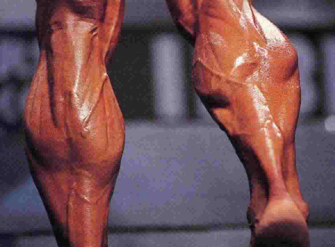 Muscle Building Blog Blog Archive Bad Bodybuiders And Calves Training Muscle Building Blog Blog Archive Bad Bodybuiders And Calves Training